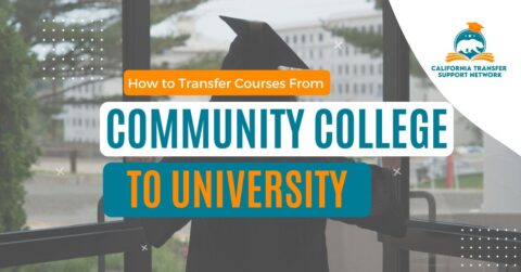 How to Transfer Courses from Community College to University