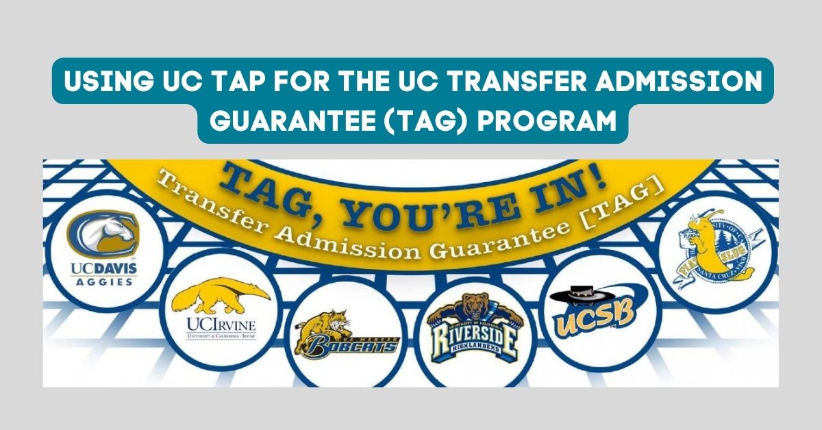 How to Transfer Courses from Community College to University